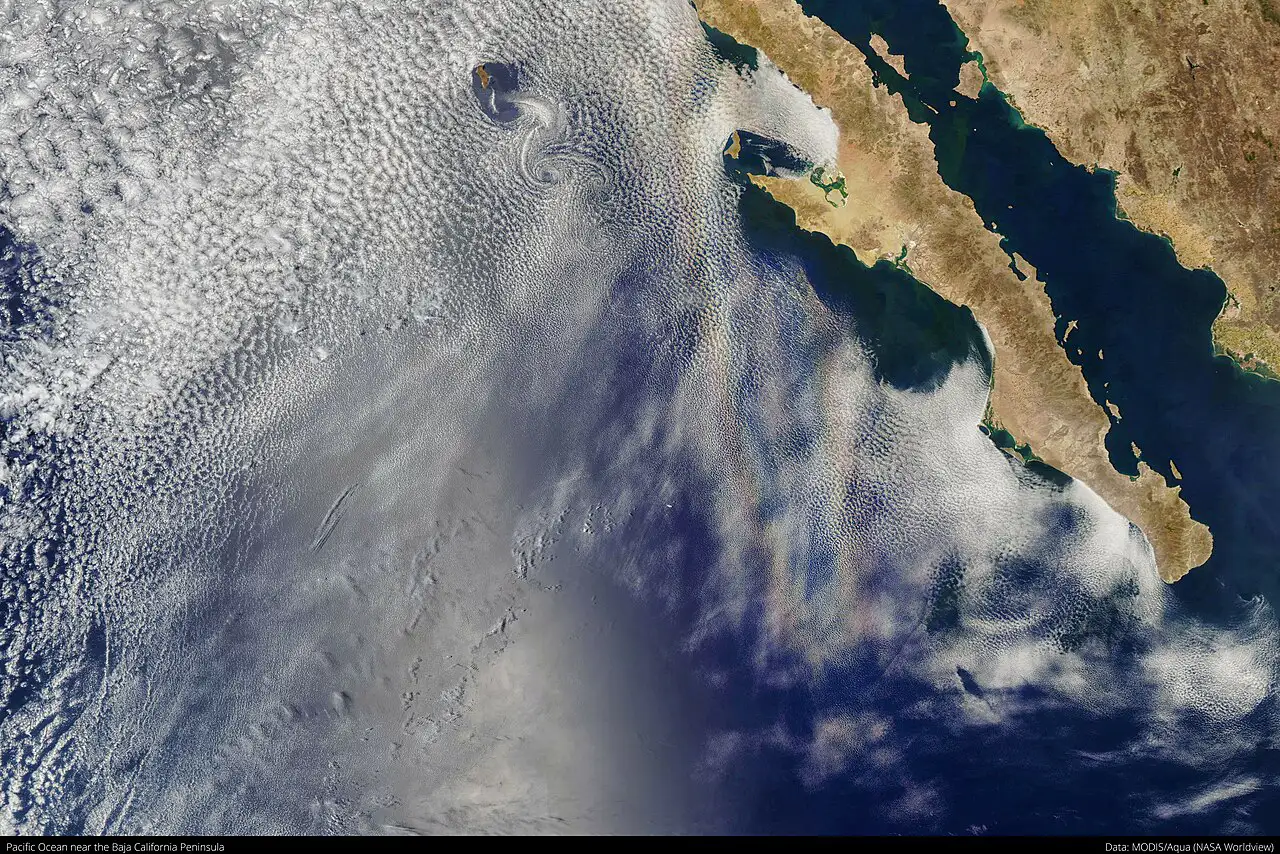 Baja's Bounty: Unearthing a Land of Hidden Treasures
